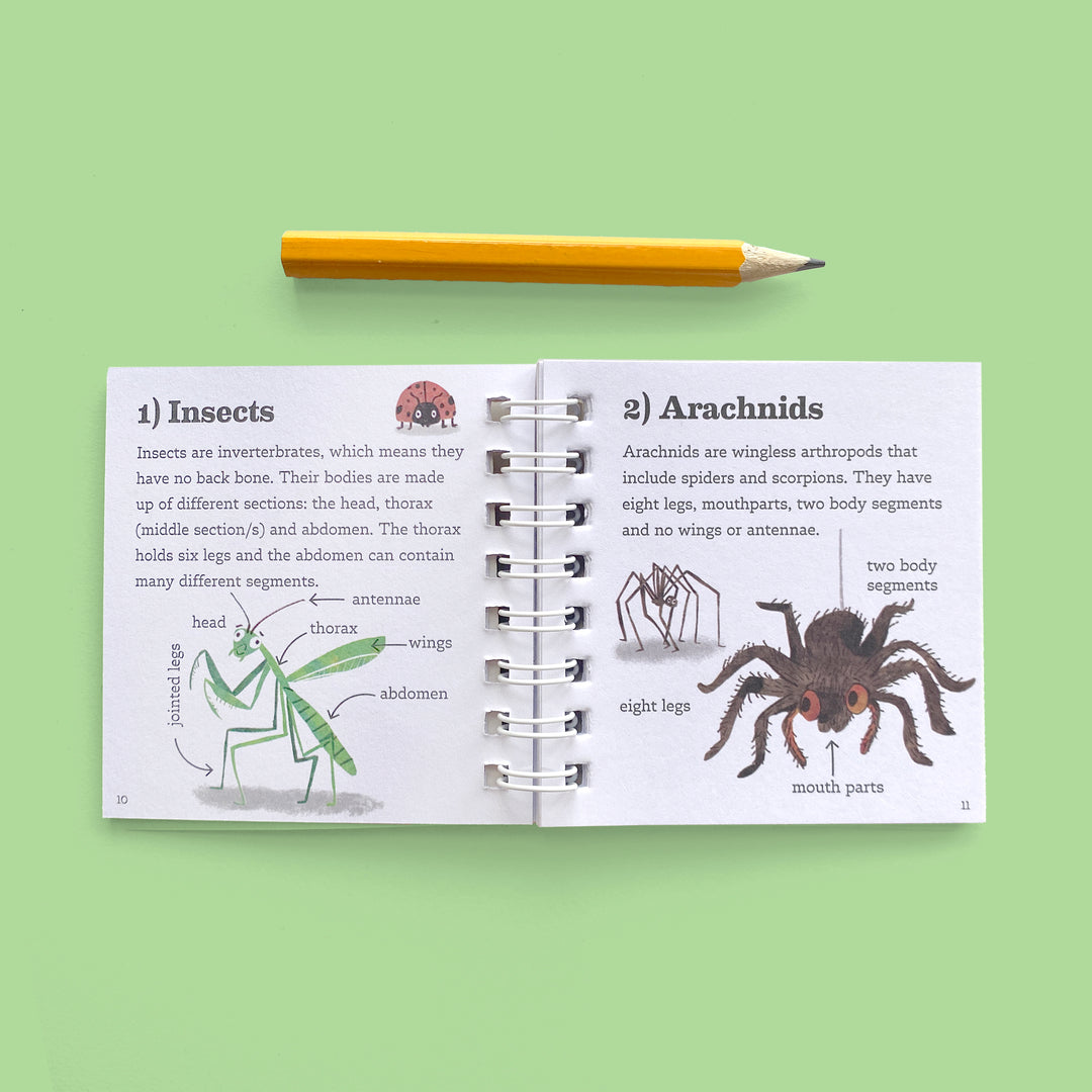 Tiger Tribe Bug Spotter Kit | Children of the Wild