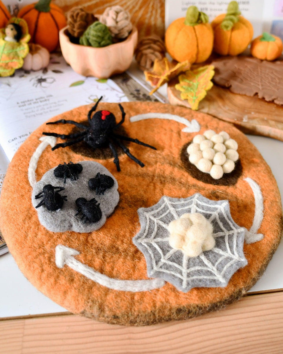 Tara Treasures Felt Life Cycle of a Red Back Spider Set | Children of ...