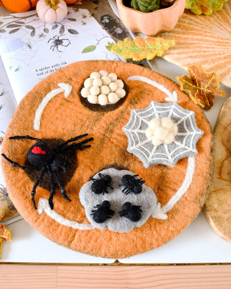 Tara Treasures Felt Life Cycle of a Red Back Spider Set | Children of ...
