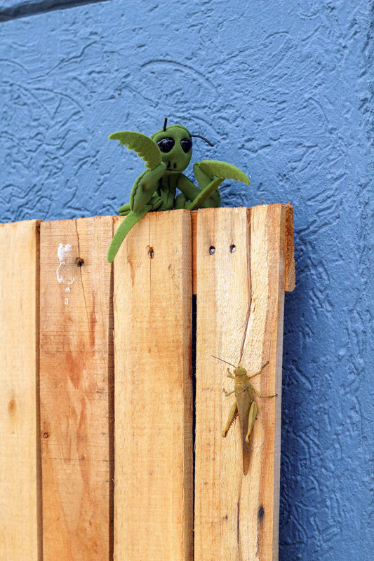 Folkmanis Mini Praying Mantis Finger Puppet | Children of the Wild